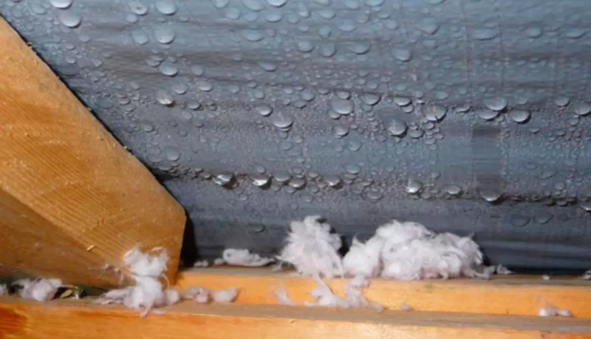Kondensat på loftet hjemme: Hvorfor akkumuleres hvordan man eliminerer