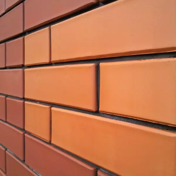 ສໍາເລັດຮູບເຮືອນ brick + ຮູບພາບ 10188_6
