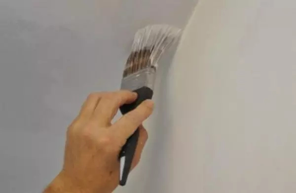 Pintura de parets i sostres amb pintura a nivell d'aigua fer-ho tu mateix, + foto, vídeo 10360_1