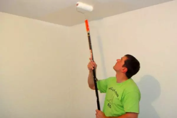 Målning av väggar och tak med vattennivåfärg gör det själv, + foto, video 10360_3