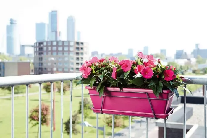 Boîtes de fleurs sur le balcon 10440_11