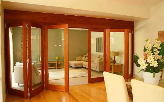 Diseño de puertas interiores en el apartamento + foto. 10511_10