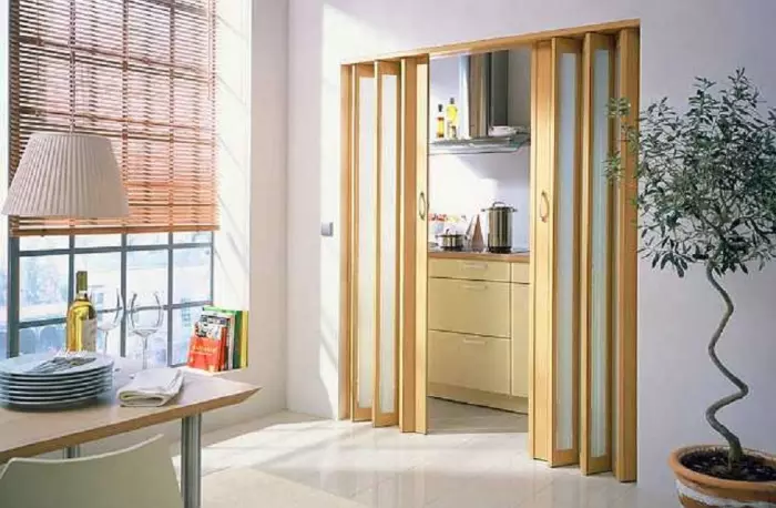 Interroom ajtók tervezése az apartmanban + fotó 10511_2