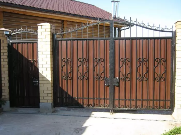 دروازه با یک دروازه برای یک خانه خصوصی + عکس 10555_11