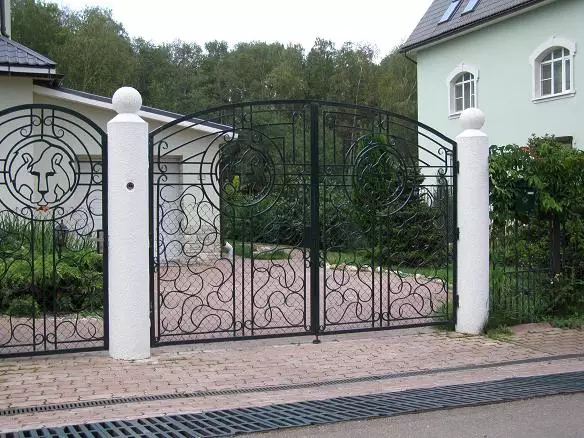Brána s bránou pro soukromý dům + fotografie 10555_3