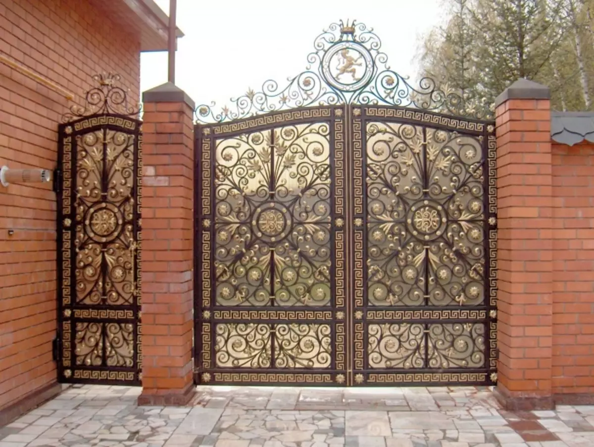 دروازه با یک دروازه برای یک خانه خصوصی + عکس 10555_6