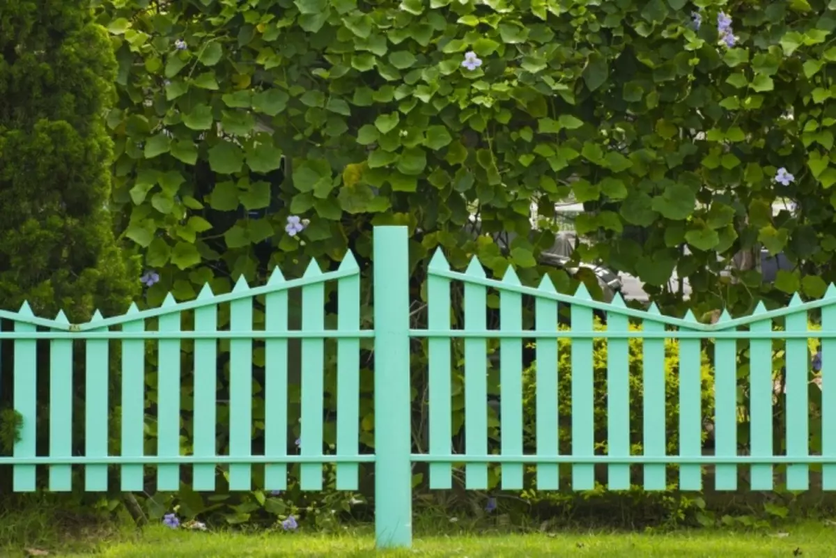 Krásné dřevěné ploty + fotografie 10573_33