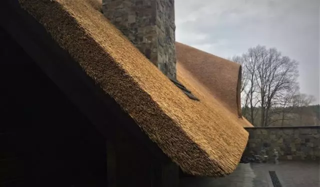 בית עם גג קש