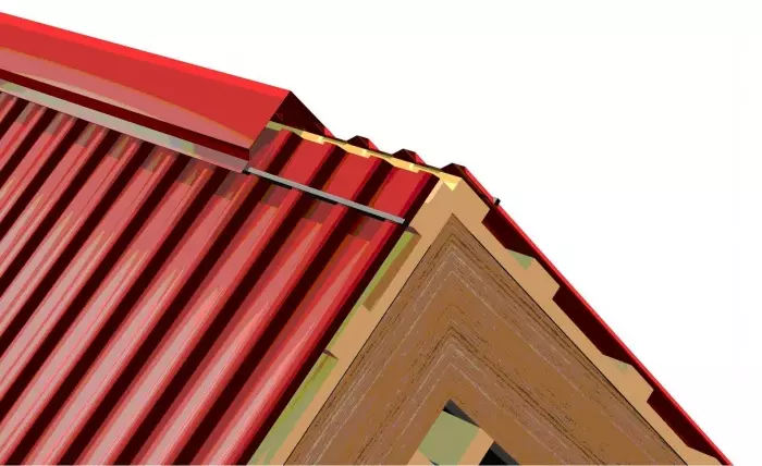 Elementi Dobornye per il tetto del corrugato 10705_12