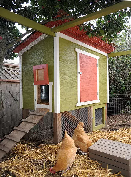 Mini-Chicken Coop. 10888_17