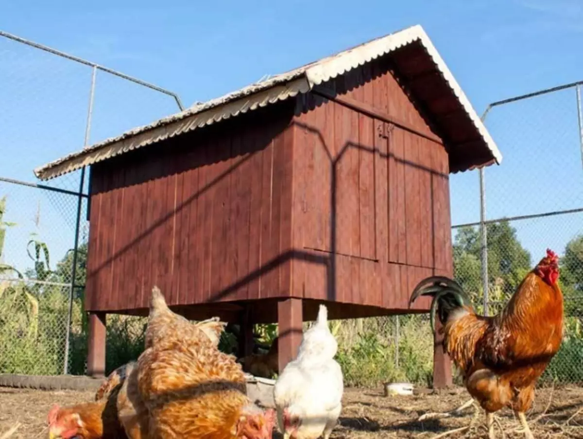 Mini-Chicken Coop 10888_2