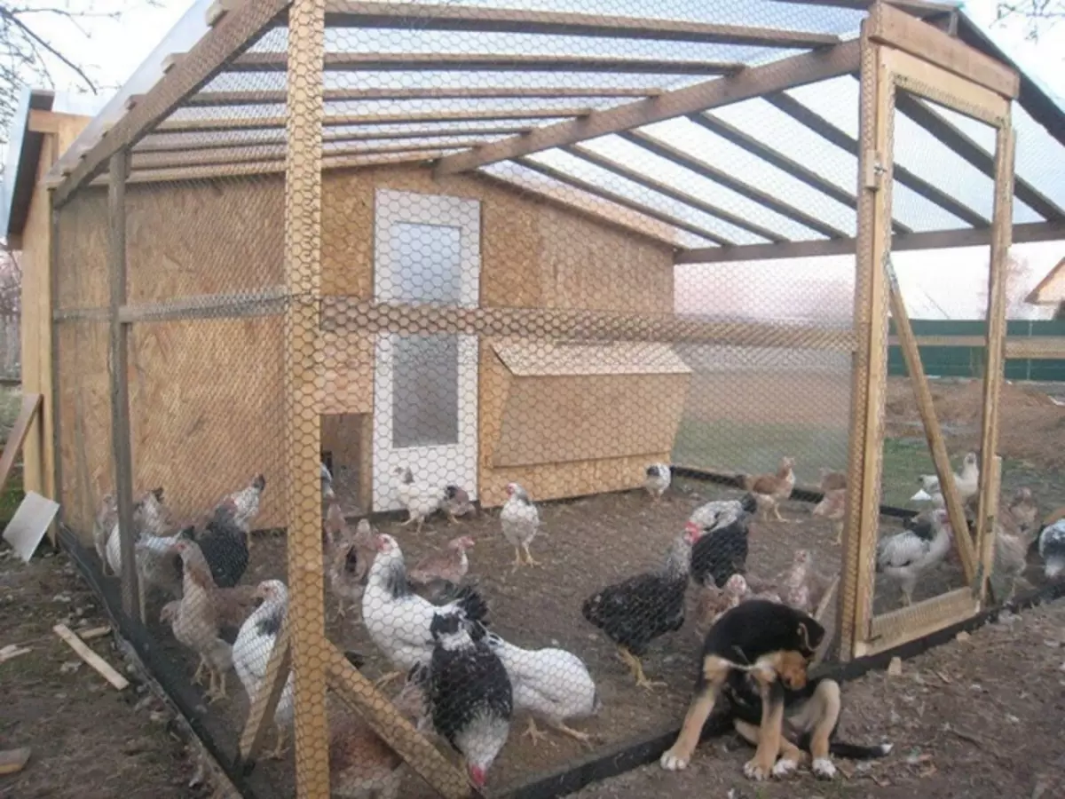 Chicken coop for broilers with their own hands 10889_1