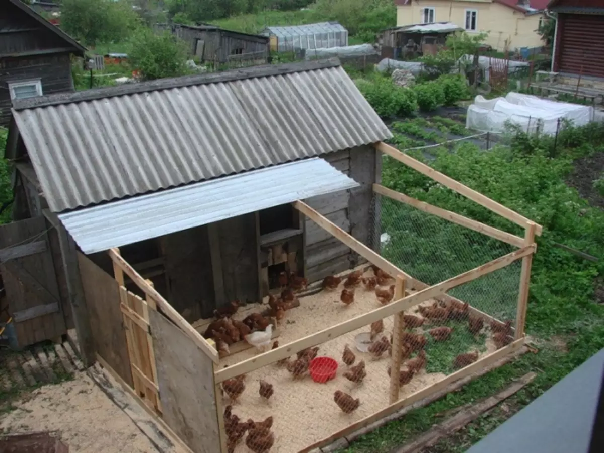 Chicken coop of girlfriend with their own hands 10890_4
