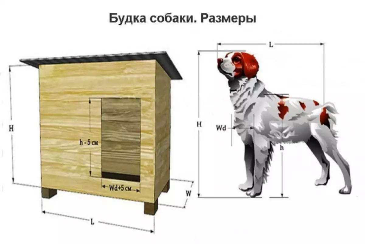 Labrador Booth Sizes 10901_16