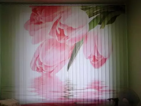 Vertical Blinds with photo printing 11078_11