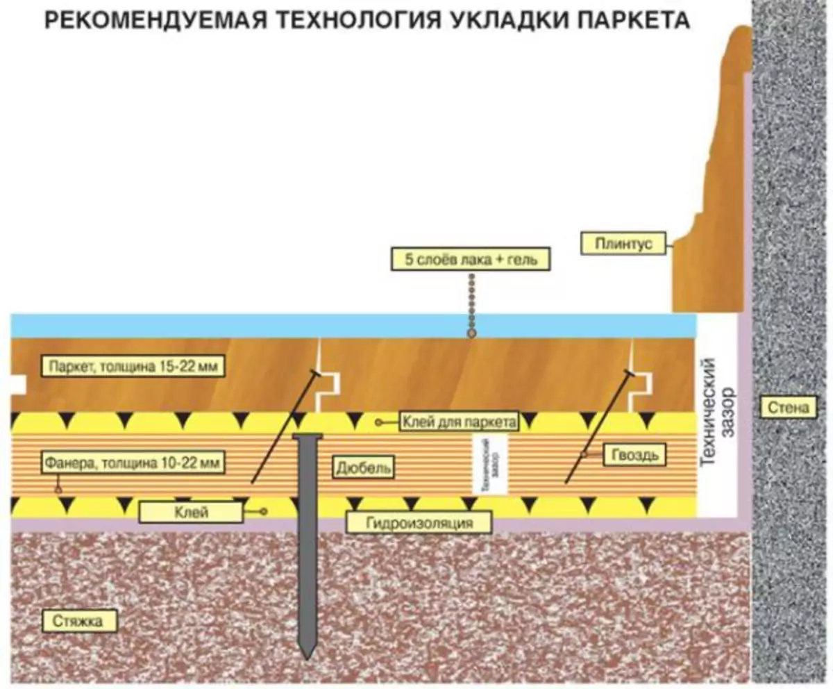 Чӣ тавр як тахтаи пиёзро дар ошёнаи бетонӣ гузошт 11106_3