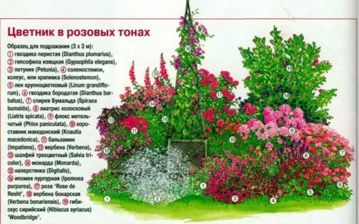 MixborOrder עם הידיים שלך: Scheme, מבחר של צמחים + תמונה 1132_14