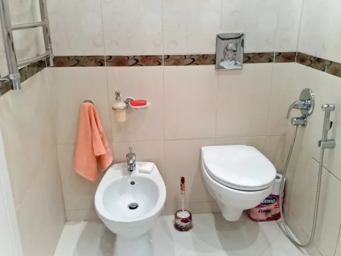 Hygienic shower 11352_2