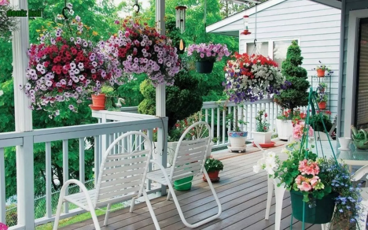 Com decorar una terrassa amb flors + foto 1137_1