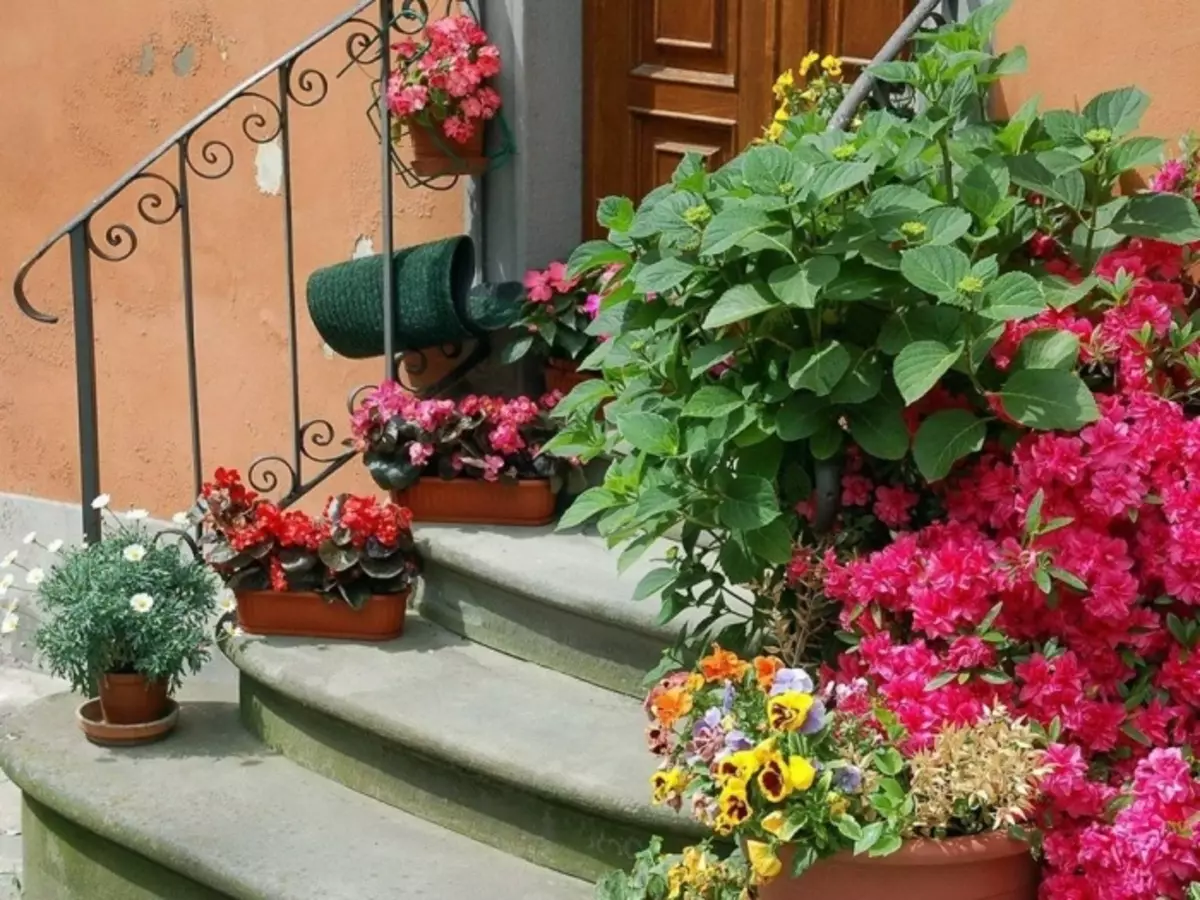 Com decorar una terrassa amb flors + foto 1137_13