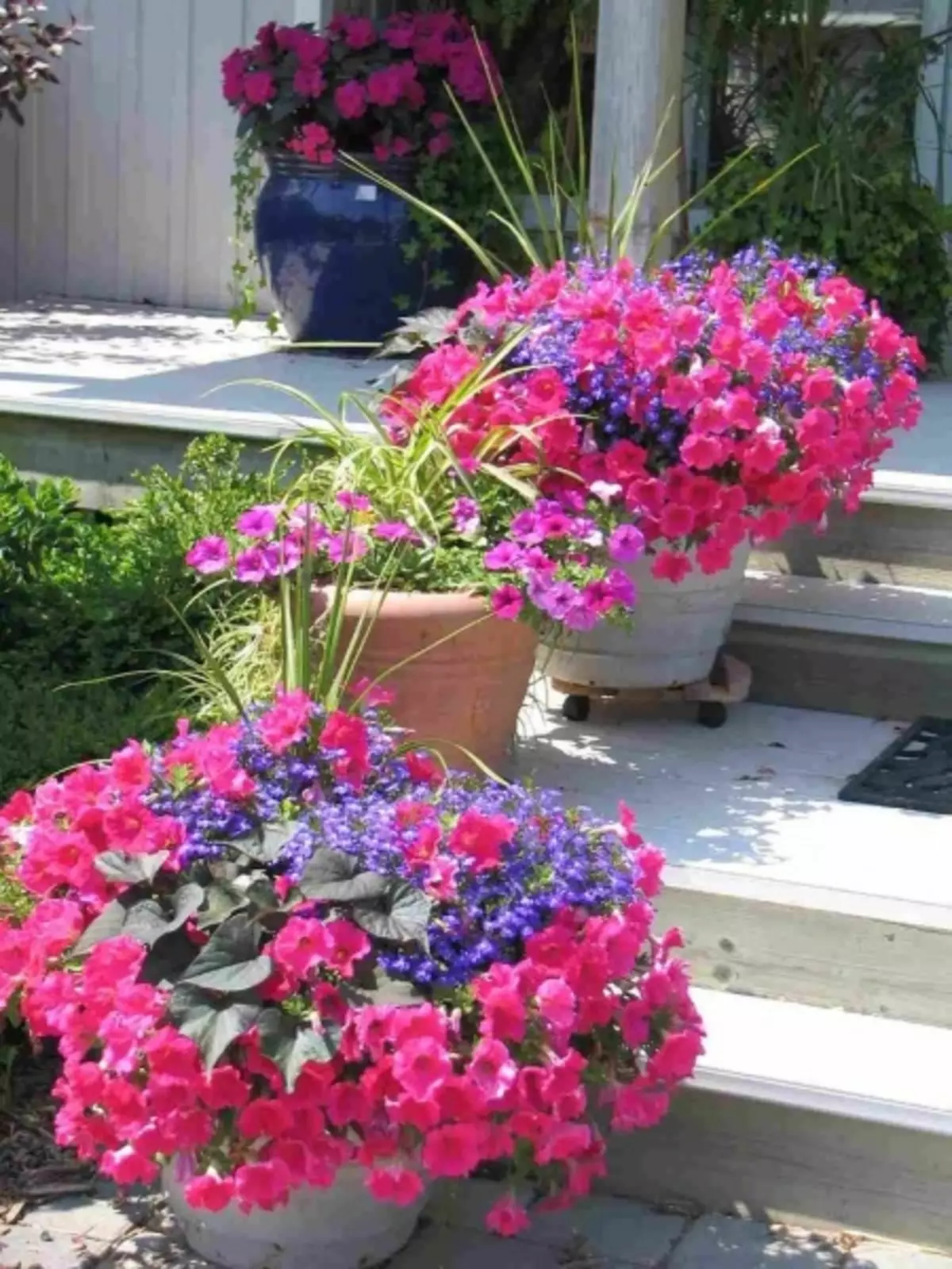 Cum de a decora o terasă cu flori + fotografie 1137_5