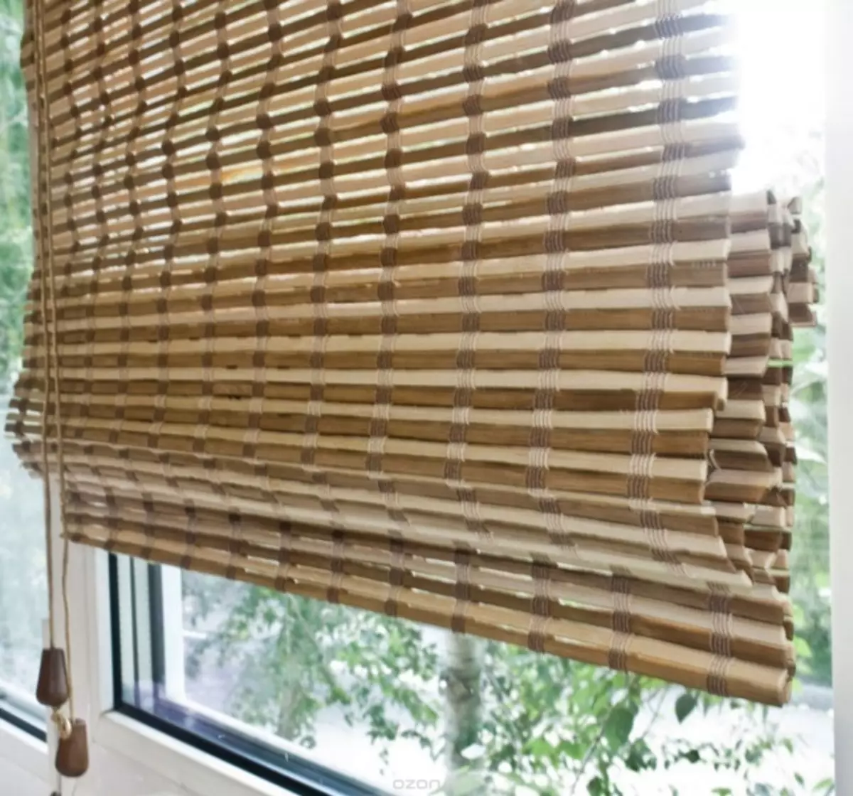 Bambú dallóga + grianghraf 12013_12