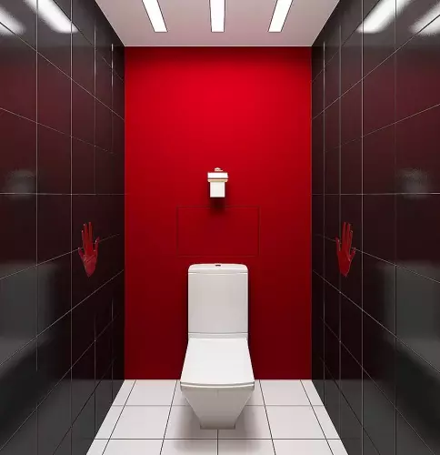 सानो शौचालय भित्री + फोटो 12029_10