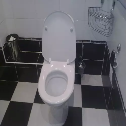 सानो शौचालय भित्री + फोटो 12029_13