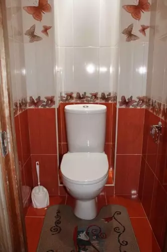 सानो शौचालय भित्री + फोटो 12029_18