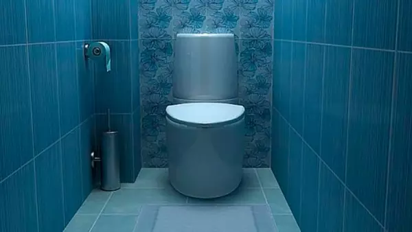 सानो शौचालय भित्री + फोटो 12029_3