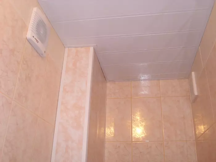 Vonios kambarys + nuotrauka 12036_5
