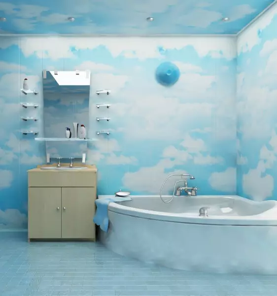 Боја за ѕидови во бањата 12056_6