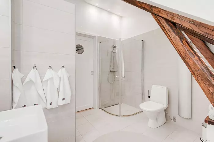 Interiér kúpeľne so sprchovacím kútom 12069_10