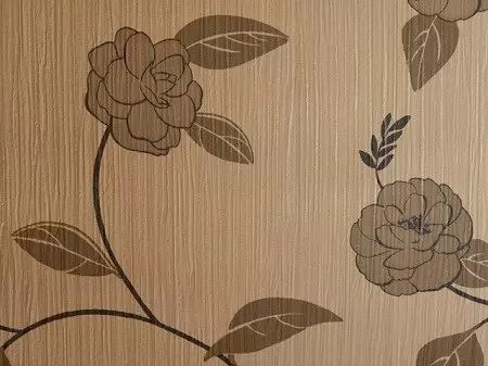 What wallpaper is better to choose for an apartment 12189_11