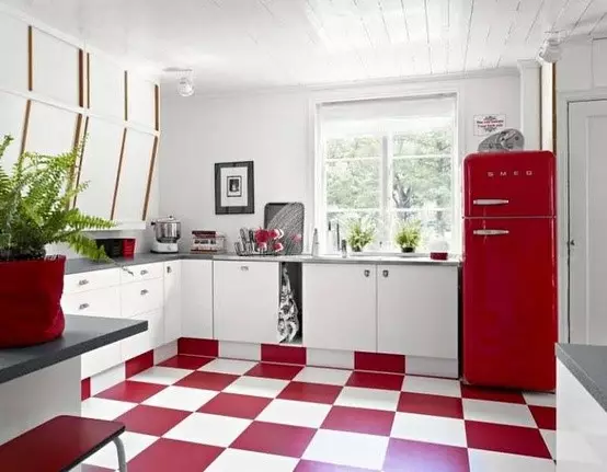 Punainen ja valkoinen keittiö + valokuva 12249_12