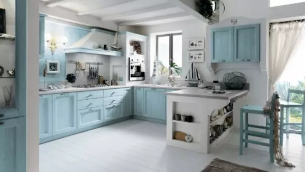 Bijela-plava kuhinja na unutrašnjosti + fotografija 12251_10
