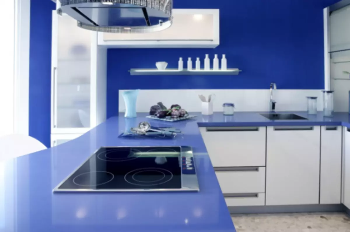 White-Blue-Küche im Innenraum + Foto 12251_8