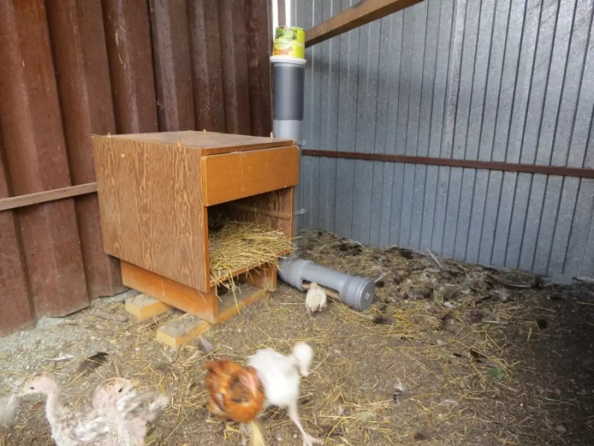 Alimentador automático para galiñas 12359_1