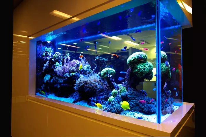 Aquarium lighting. 12380_28