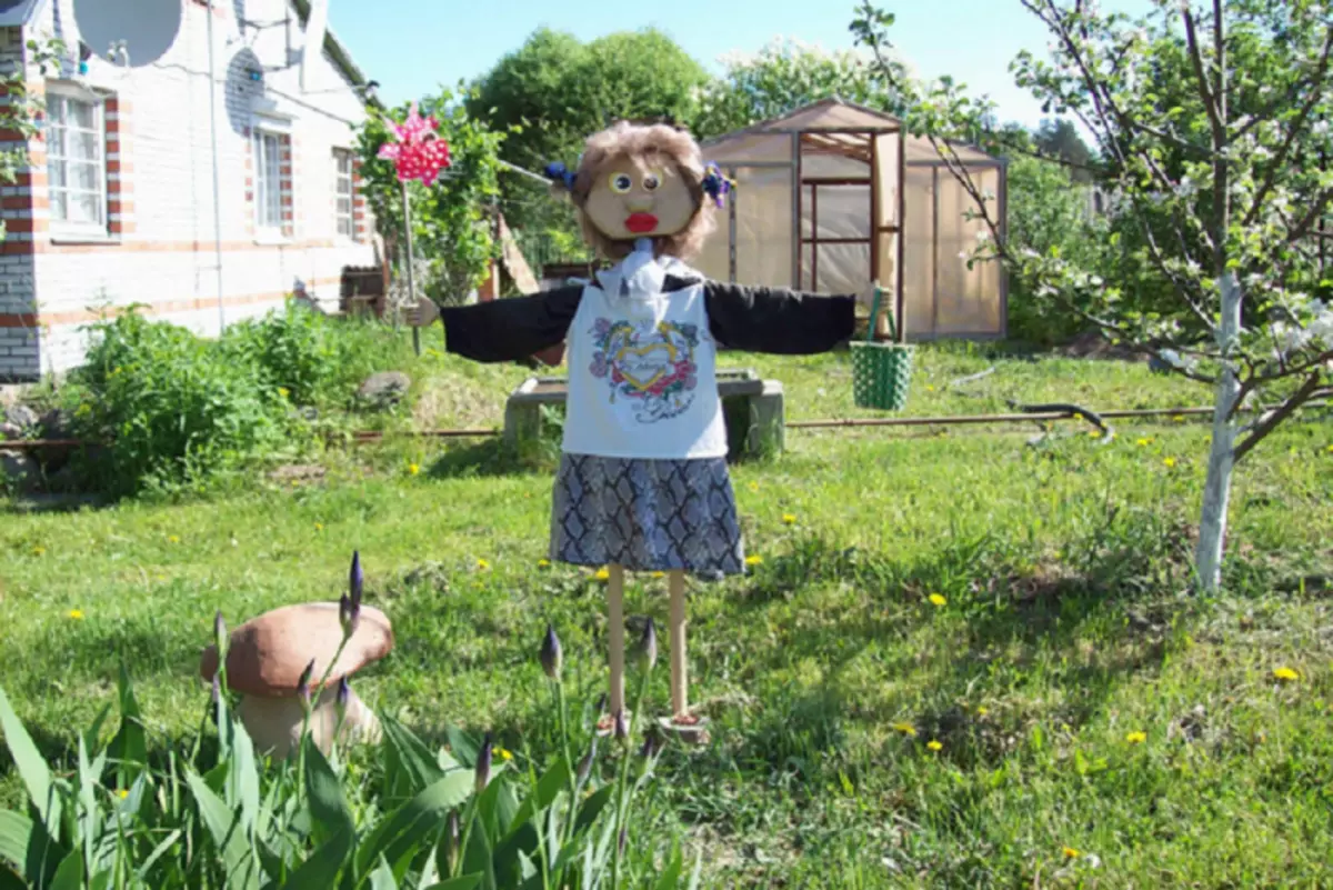Scarecrow Garden. 12395_12