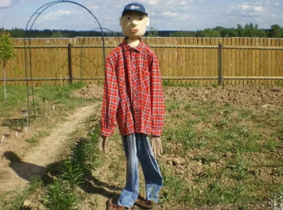 Garden Scarecrow. 12395_2