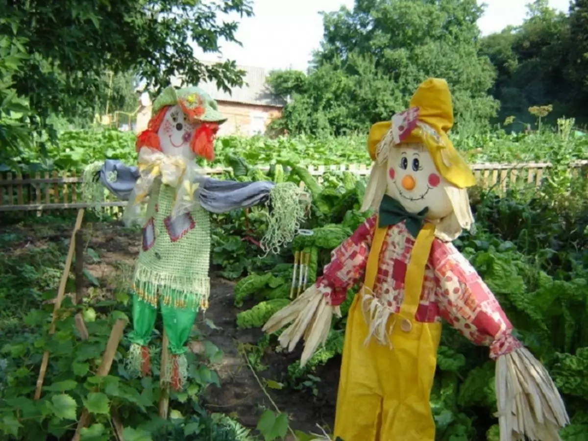 Scarecrow Garden 12395_4