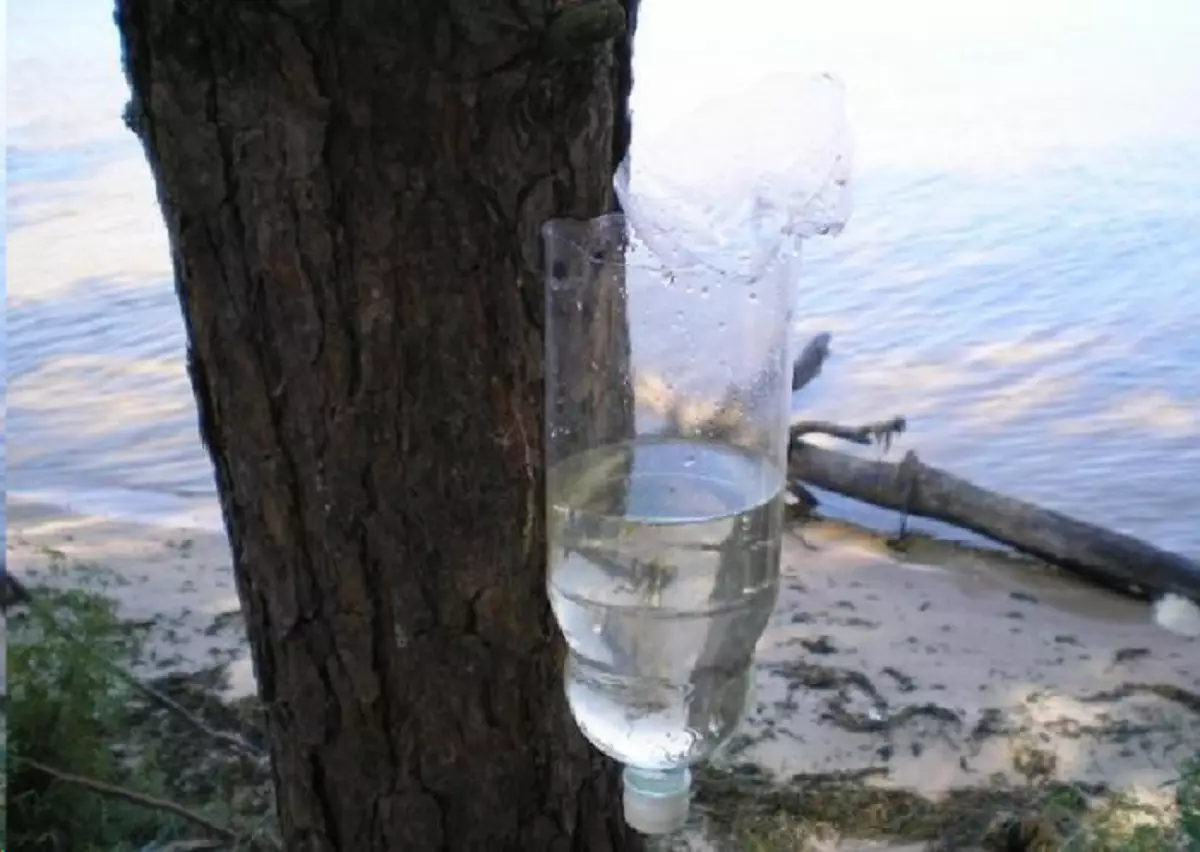 Cosa può essere fatto di bottiglie di plastica 12401_21