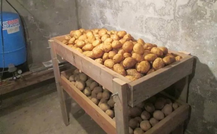Penyimpanan kentang di gudang garasi 12406_1