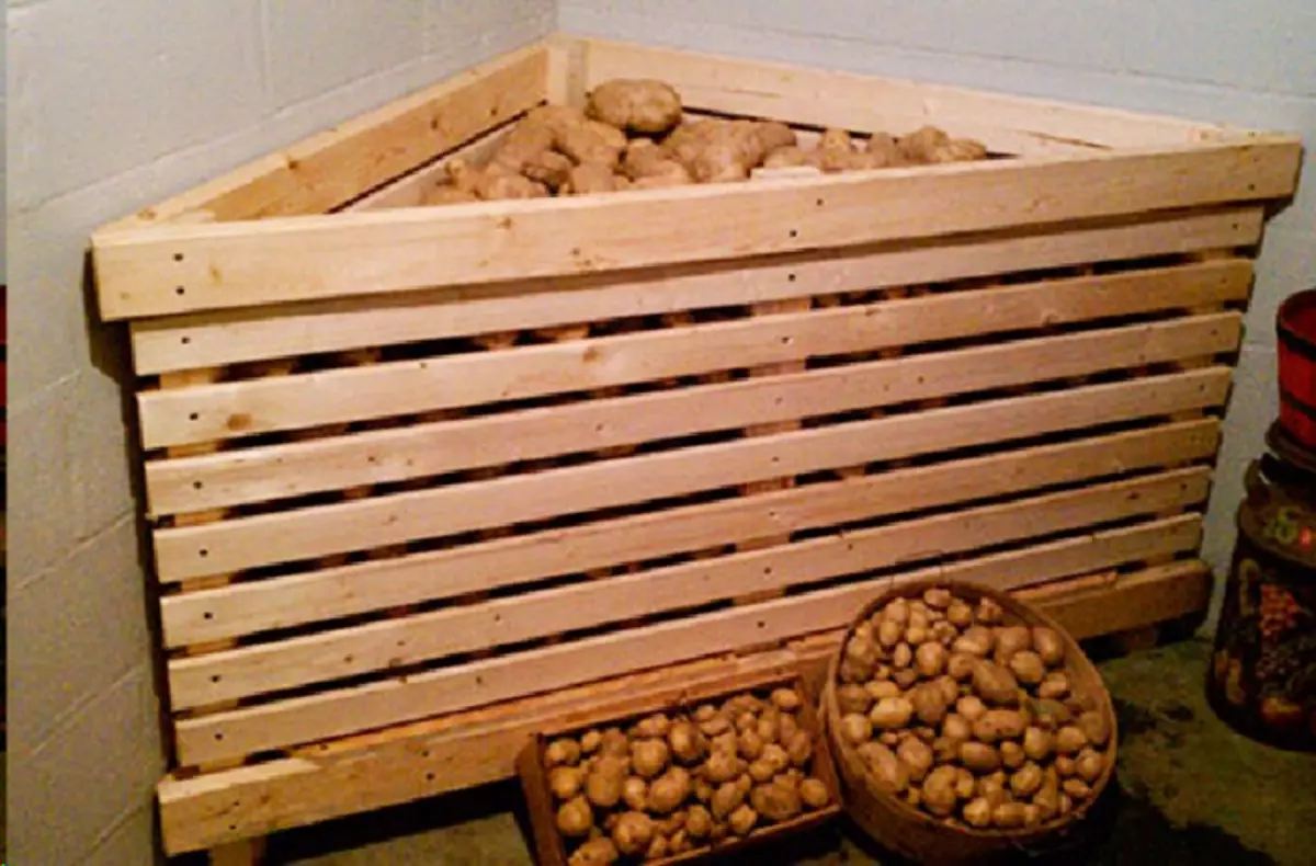 Bulvių saugojimas garažo rūsyje 12406_15