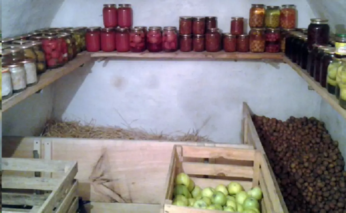Przechowywanie ziemniaków w piwnicy garażowej 12406_3