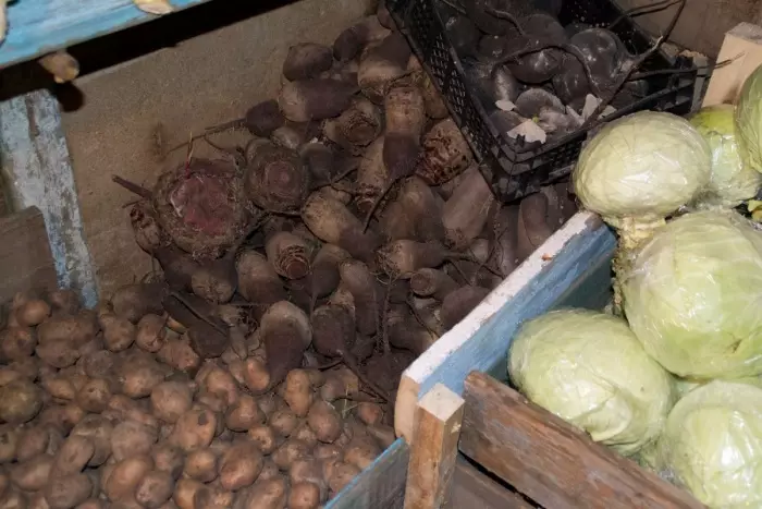 Kartupeļu uzglabāšana garāžu pagrabā 12406_5