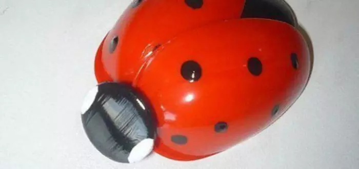 Ladybug avy amin'ny tavoahangy plastika 12409_2
