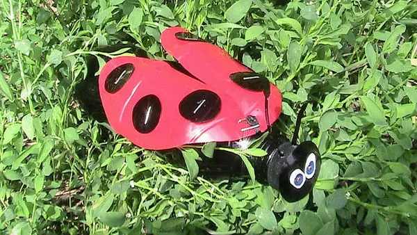 Ladybug from plastic bottles 12409_6