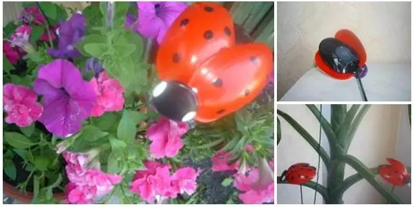 Ladybug avy amin'ny tavoahangy plastika 12409_9